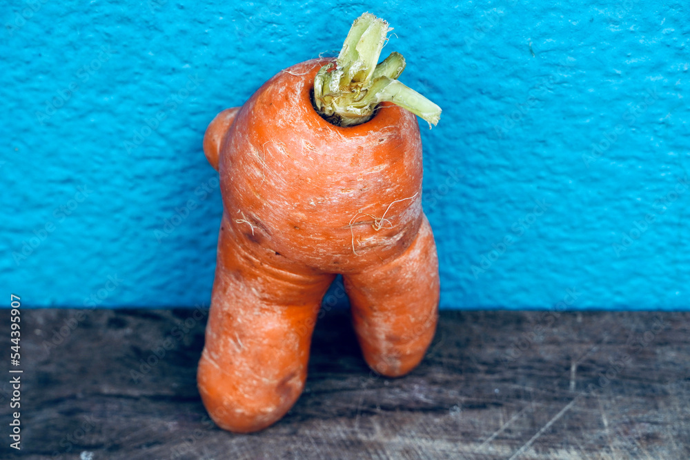 Ugly carrot root vegetable grown like human body part isolated against ...