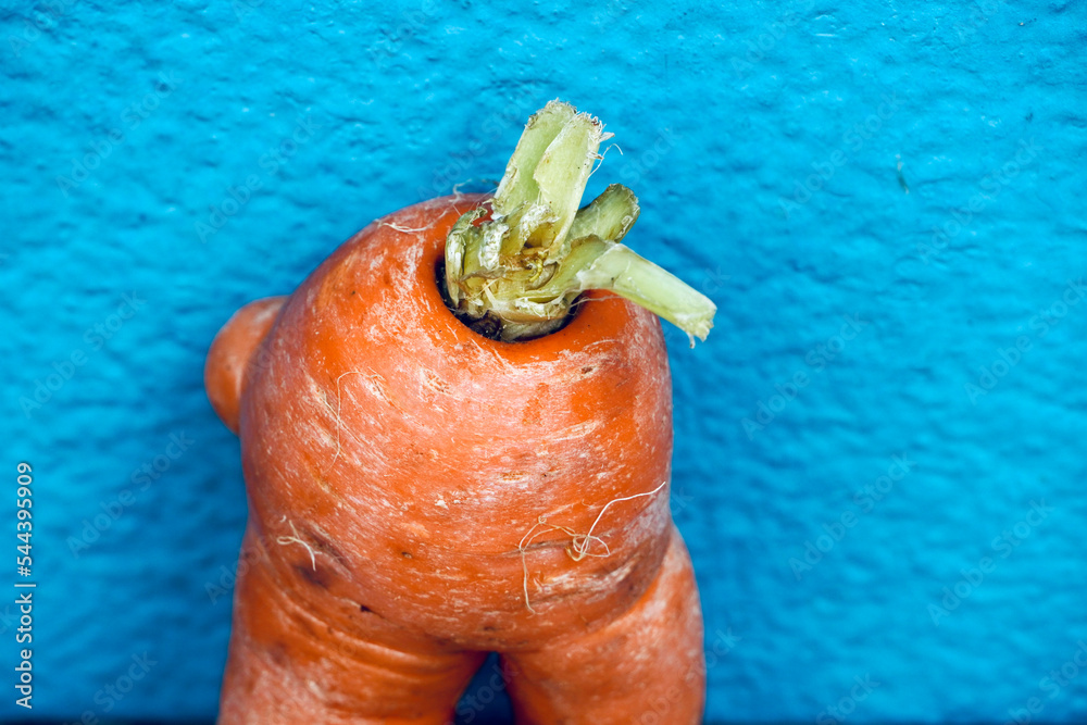 Ugly carrot root vegetable grown like human body part isolated against ...