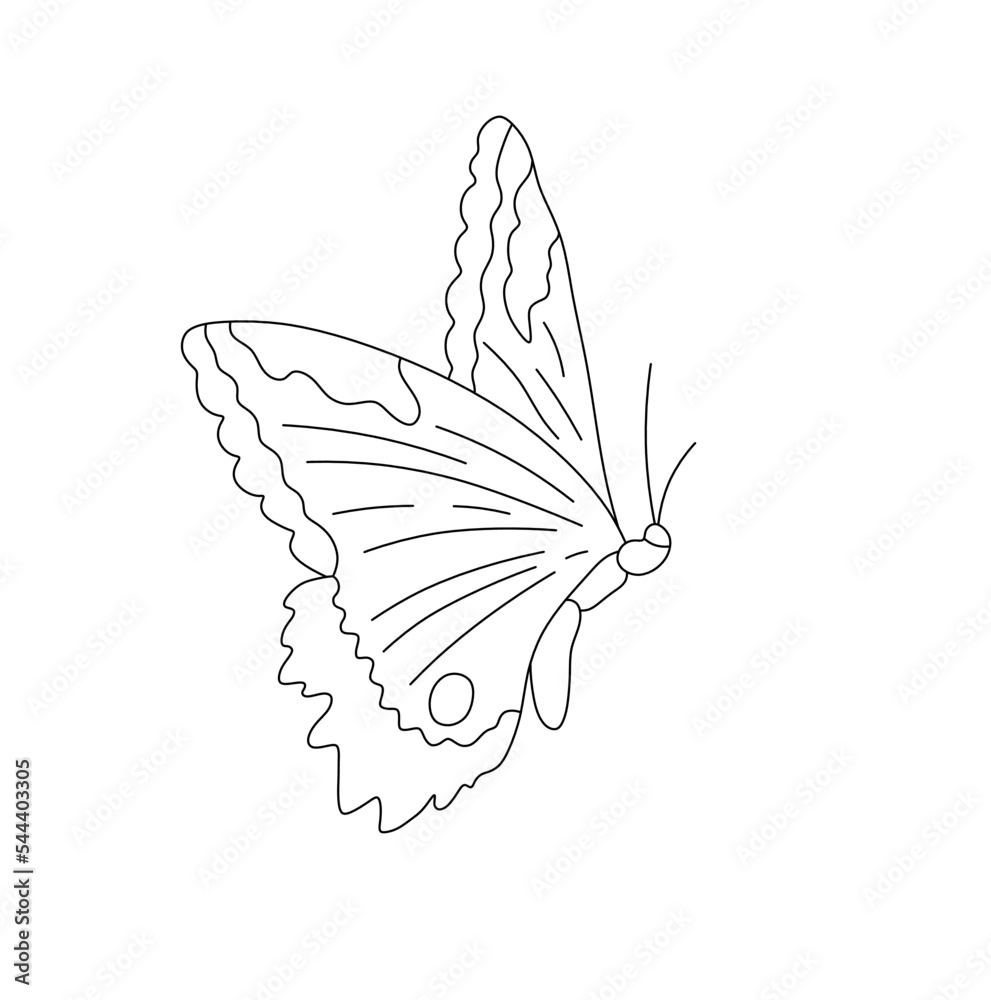 Vector isolated one flying butterfly with ornate wings side view ...
