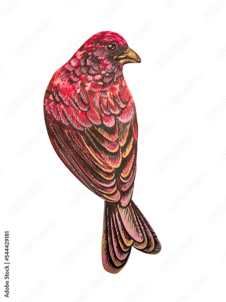 The purple finch bird sits with folded wings. Realistic Watercolor ...
