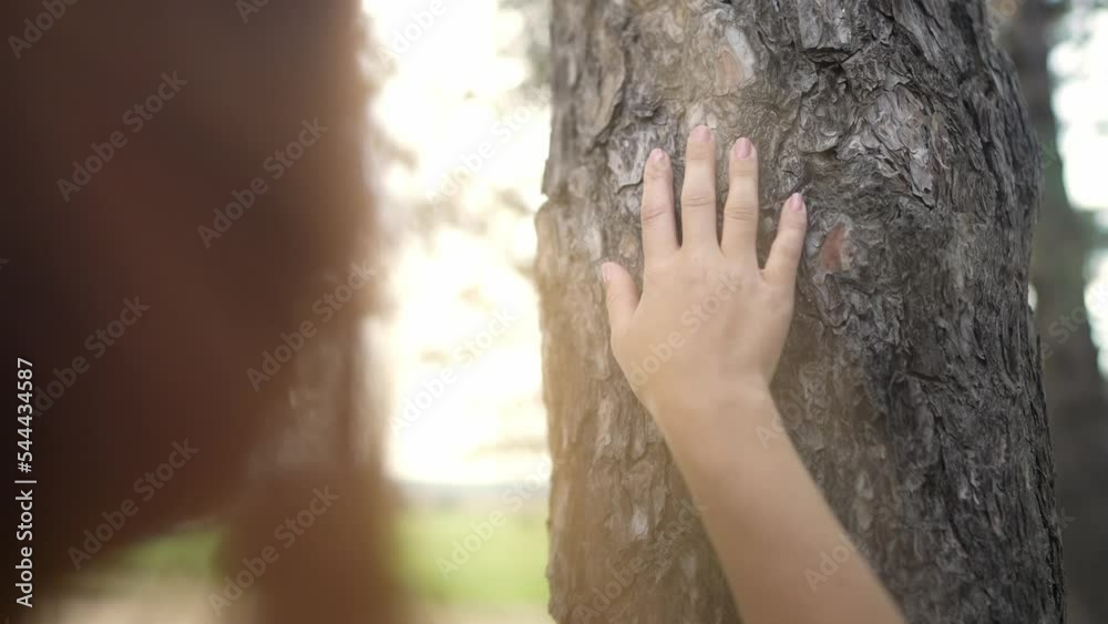 unity with nature. girl touches a tree. love ecology forest nature ...