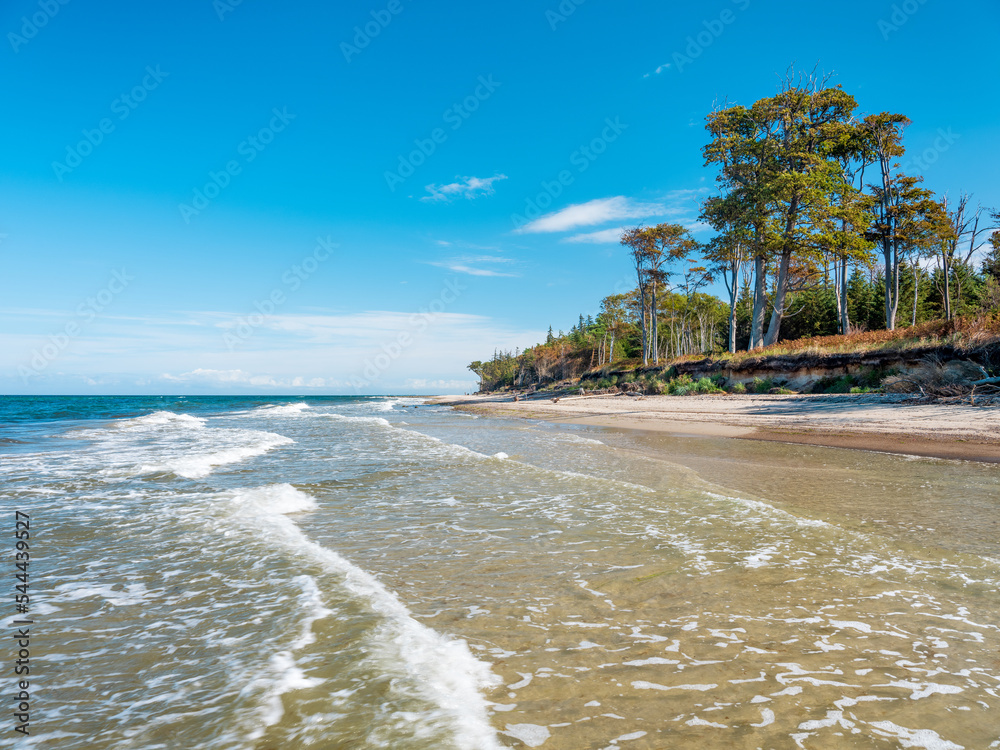 Wellen am Strand, Naturstrand mit Küstenwald, Ostsee, Mecklenburg ...