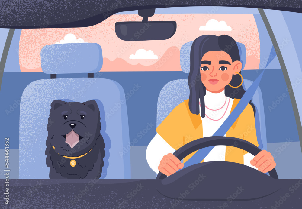 Woman with dog driving. Young girl rides in car along with pet ...