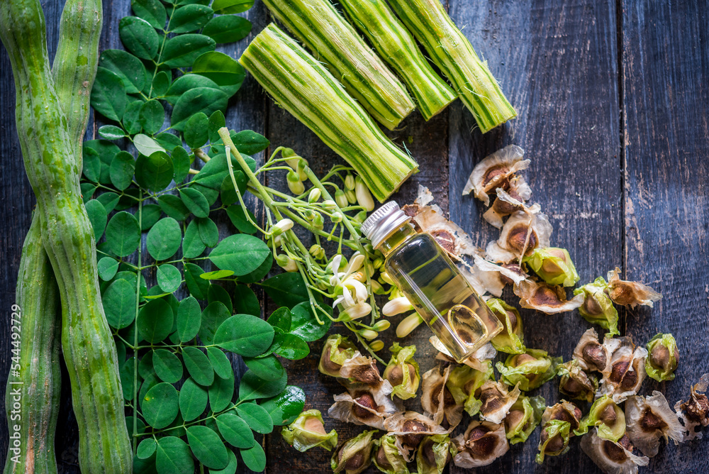 Moringa, Moringa oleifera leaves, Moringa seed,flowers and leaves of ...