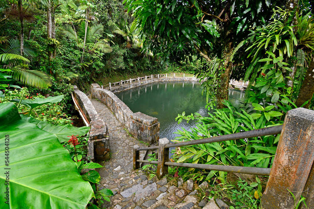 Stone bridge walkway in El Yunque Rainforest on the island of Puerto ...