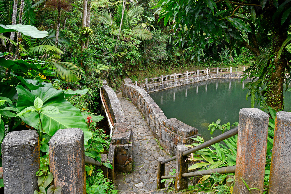 Stone bridge walkway in El Yunque Rainforest on the island of Puerto ...