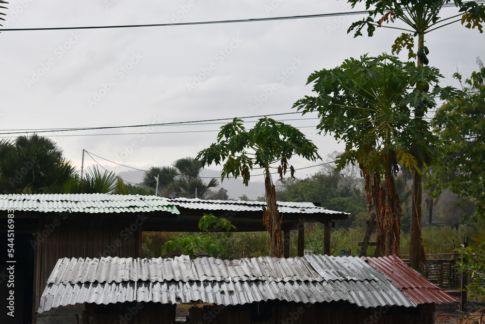 "Rural Life in Timor-Leste: A Blend of Nature and Simple Architecture ...