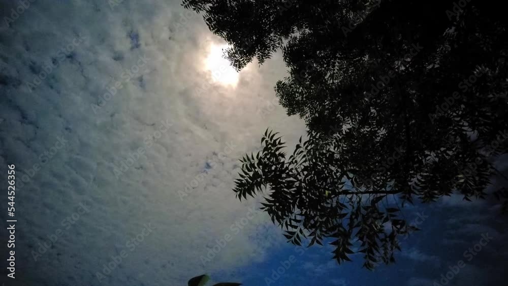 Moon time lapse almost covered by neem tree leaves on a dark cloudy ...
