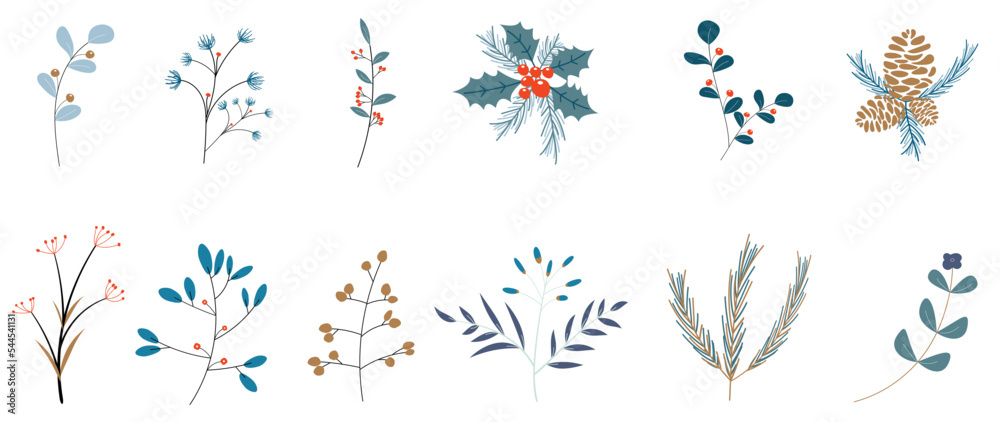 Set of winter botanical leaves on white background. Collection of ...