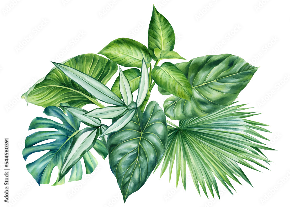 Watercolor Jungle green plant. Tropical leaves isolated on white ...
