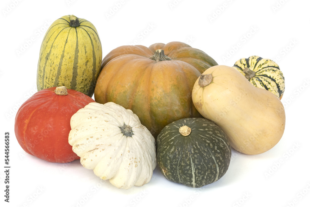 Différentes variétés de courges à consommer Stock Photo | Adobe Stock