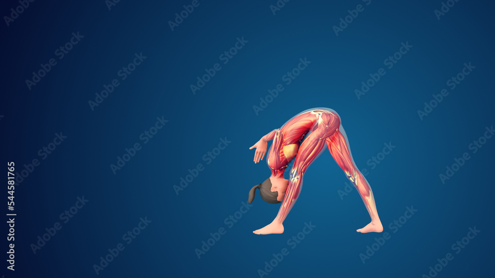 3D human Parsvottanasana Variation with arms in reverse namaskar yoga ...