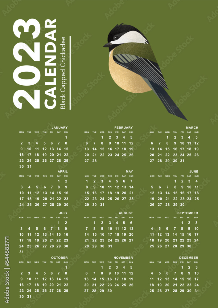 Calendar 2023, Bird Calendar , Black Capped Chickadee illustration ...