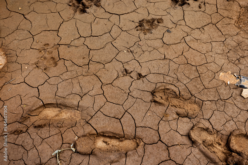 The texture of cracked dry land. Global water scarcity on planet ...