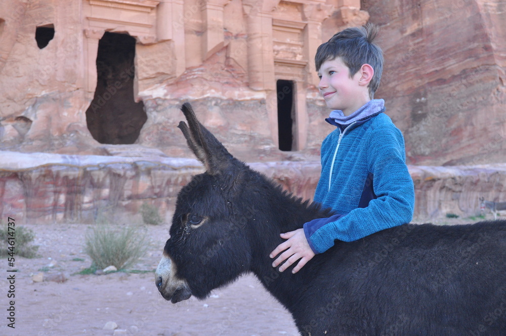 Donkeys working as transport and pack animals in Petra, Jordan ...