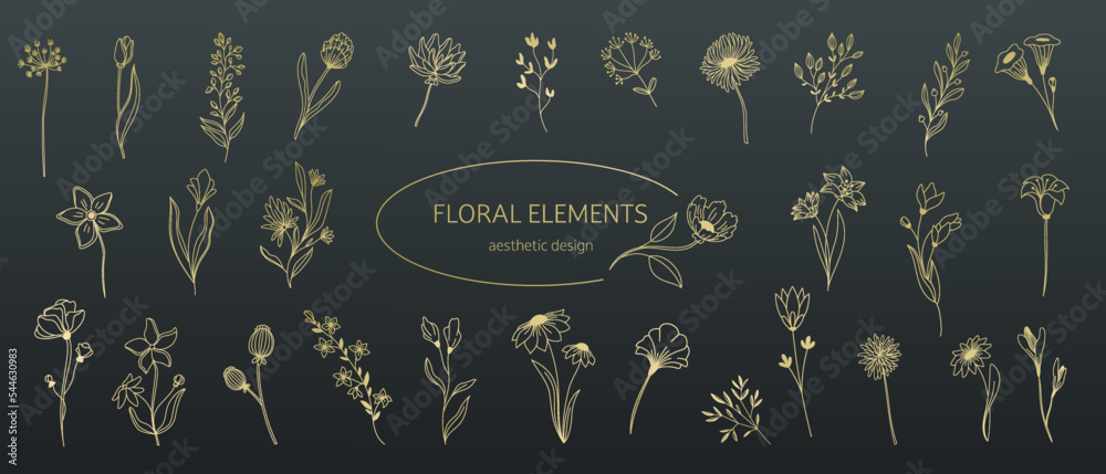Floral elements set of line icons vector illustration. Hand drawn ...