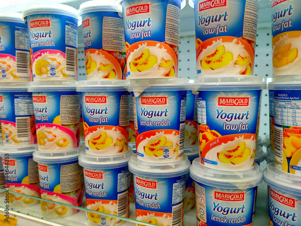 JOHOR, MALAYSIA -JULY 6, 2022: Yogurt in commercial packs. Small cup ...