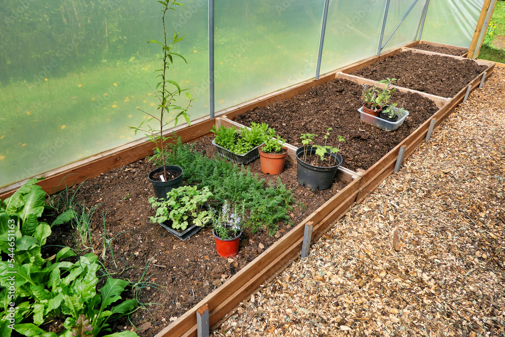 Polytunnel under construction - Staging supports connected polytonal ...