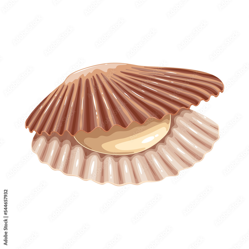 Shellfish Png Format With Transparent Background Stock Illustration ...