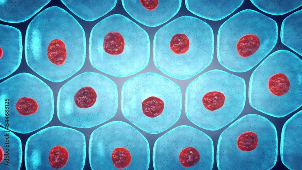 Embryonic stem cells colony. Cellular therapy and Regeneration concept ...