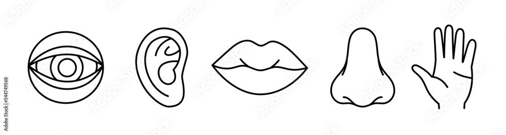 Set of five human senses. Vision, smell, hearing, touch, taste icons ...