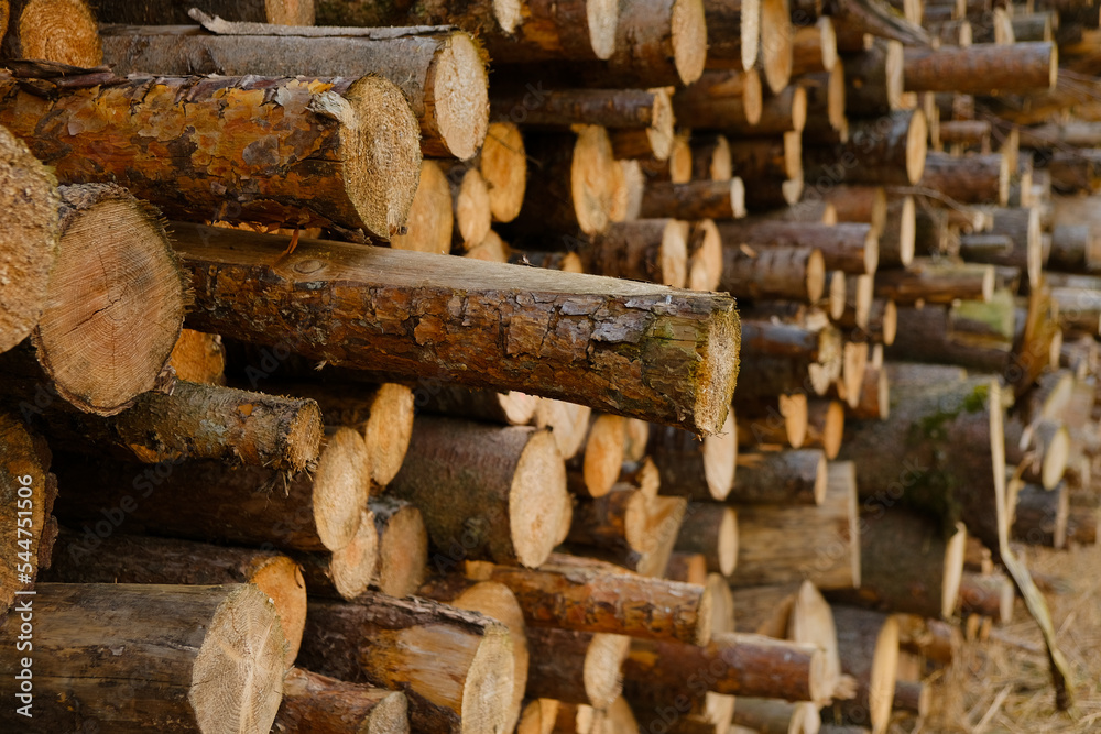 Dry Chopped Firewood Logs In A Pile. Chopped And Sawn Trunks Of Trees ...