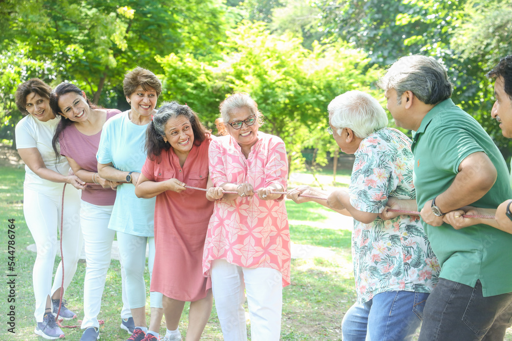 Group Of healthy fit retired Senior Indian People Playing Tug War ...