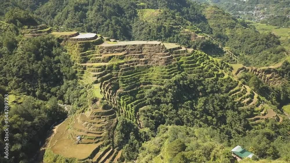 Aerial view of Rice Terraces in the Philippines. The Banaue Rice ...