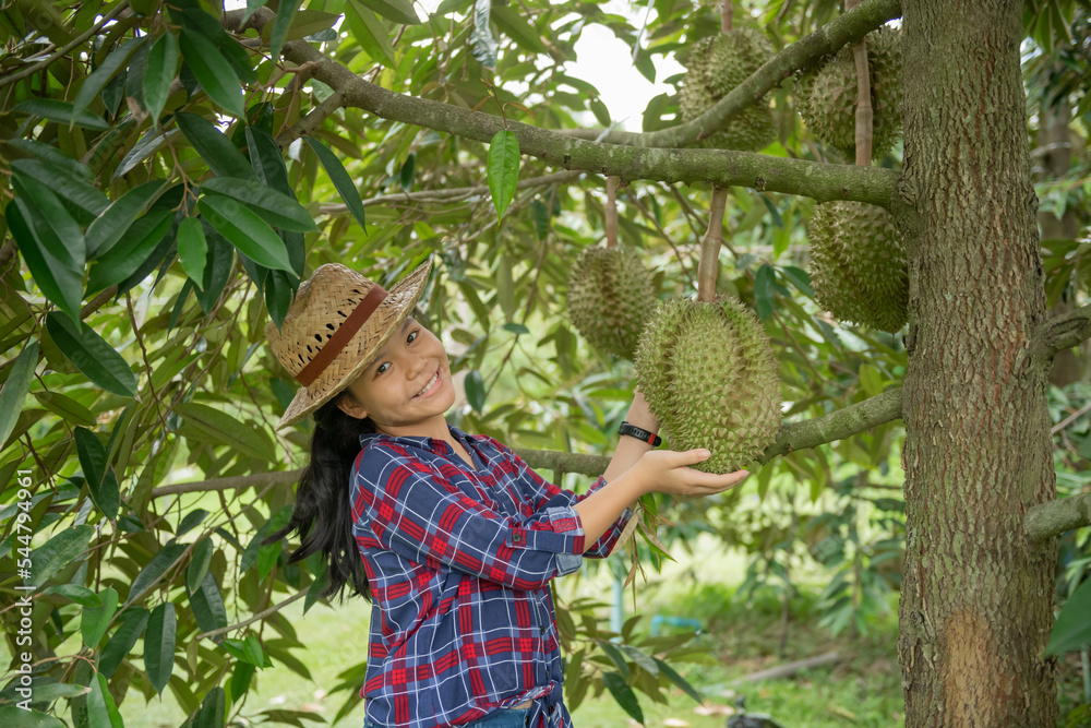 Happy teenager asian woman farmer holding durian in durian plantation ...