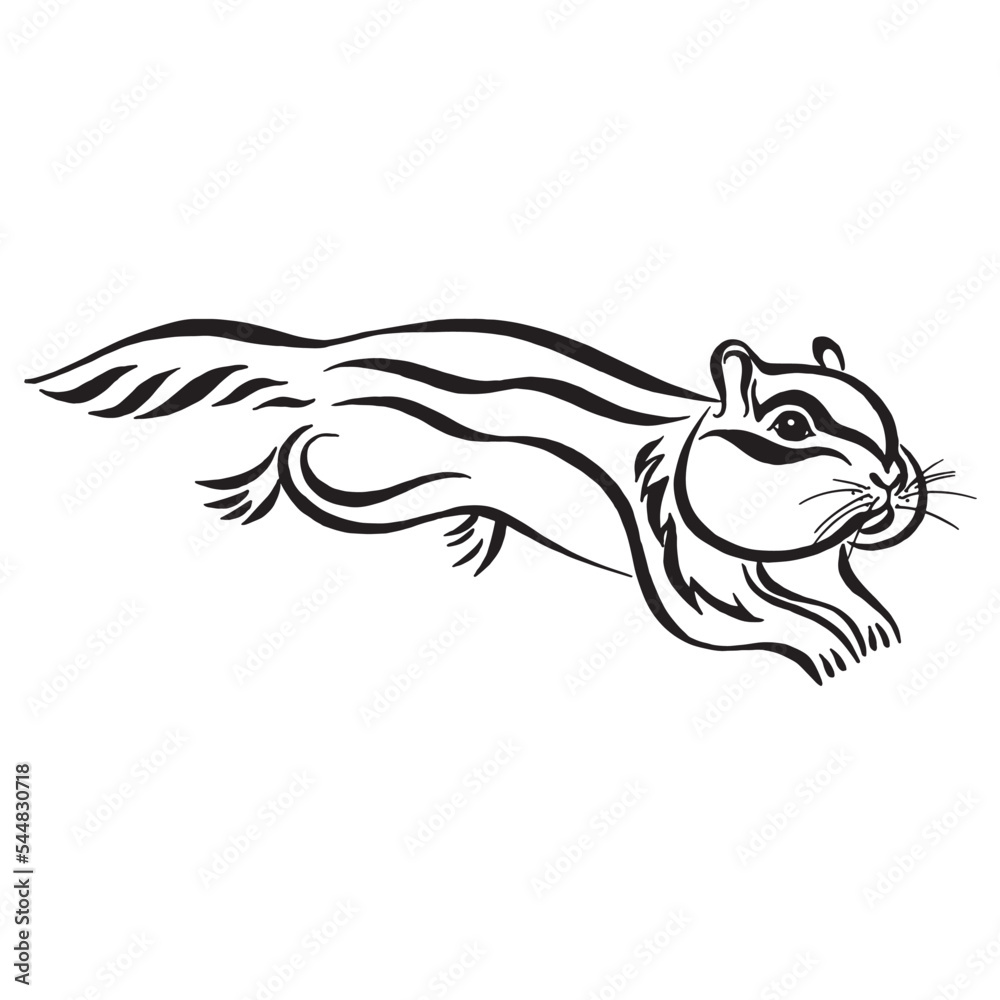Calligraphic drawing of a running chipmunk on white background. Vector ...