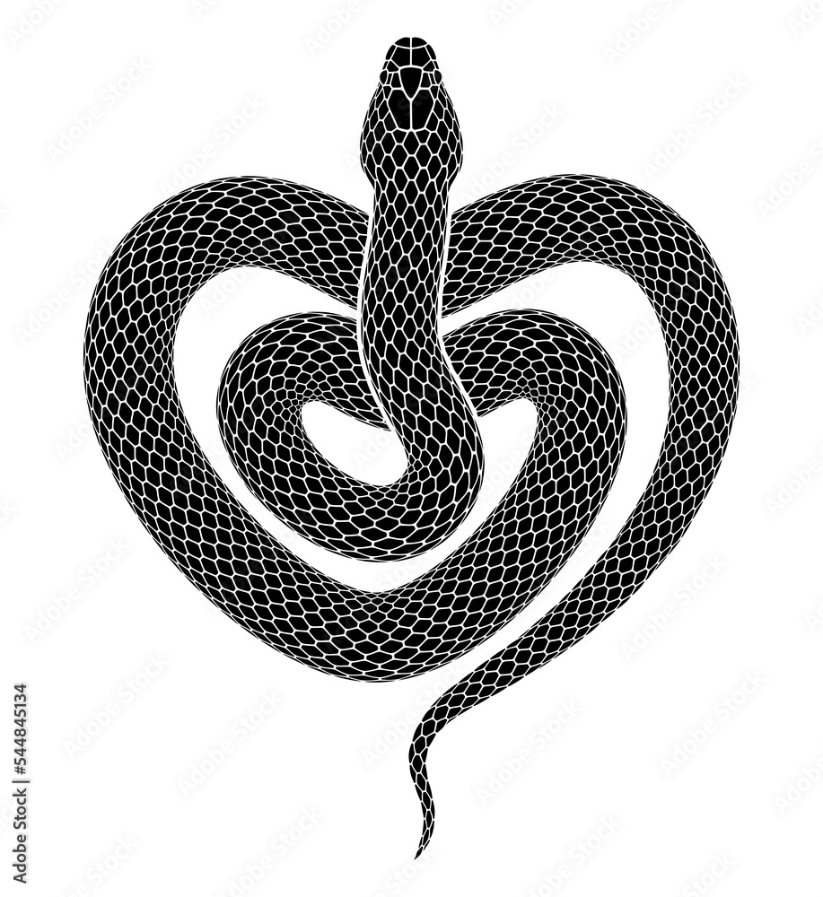 Coiled Snake Silhouette