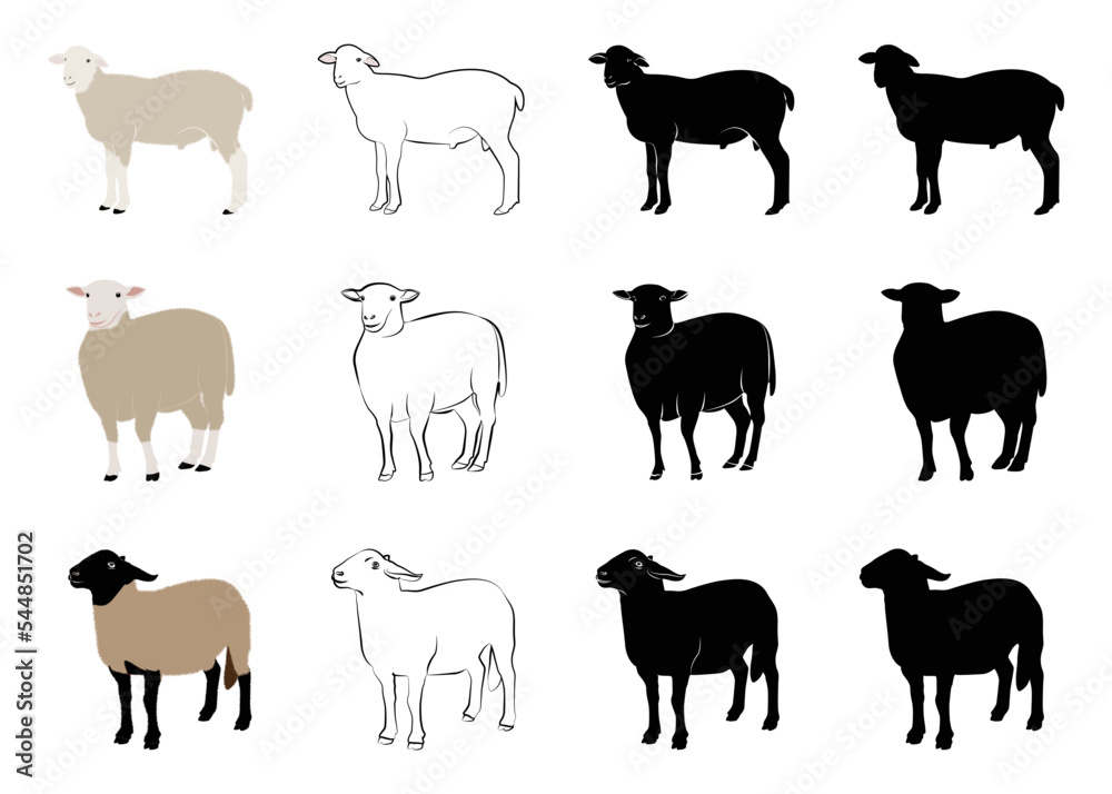 Sheep standing. Line art and solid vector illustration of sheep, hand ...