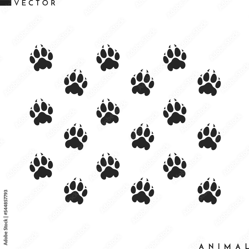 Lion paw prints. Isolated paw prints on white background Stock Vector ...