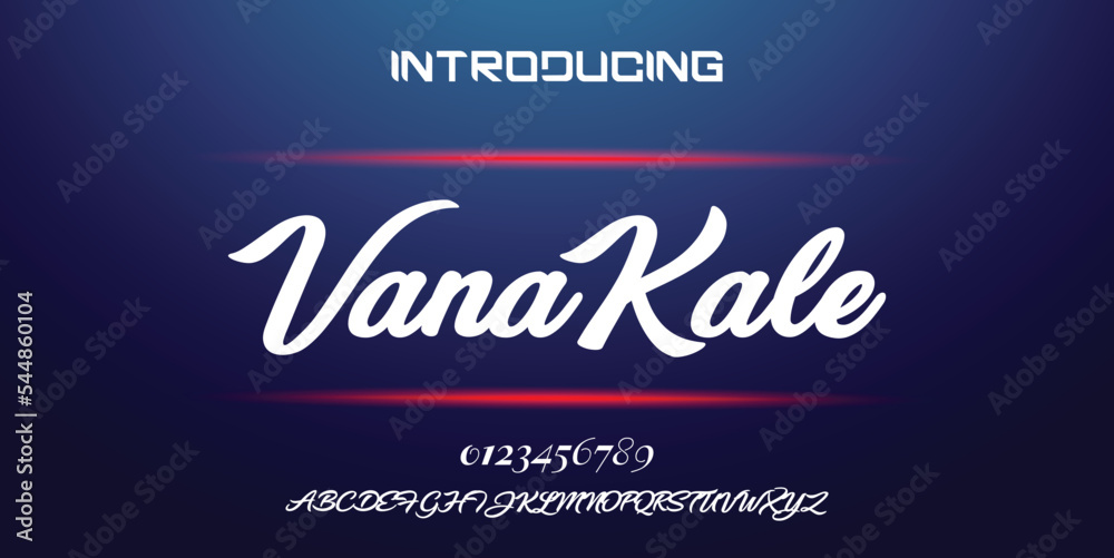 VANA KALE Signature Font Calligraphy Logotype Script Brush Font Type ...