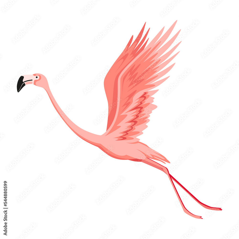 Flamingo Flying Clip Art