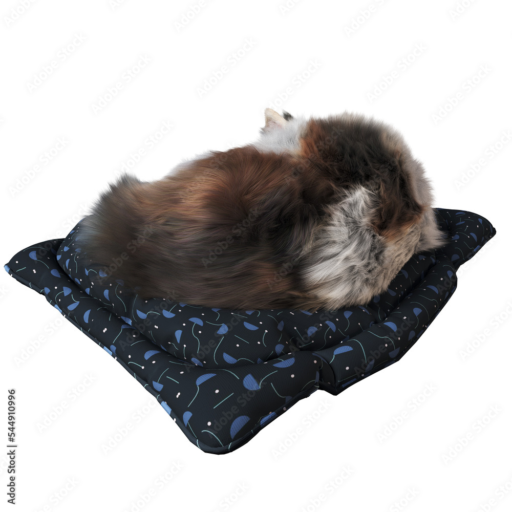 cat isolate on a transparent background, 3d illustration, cg render ...