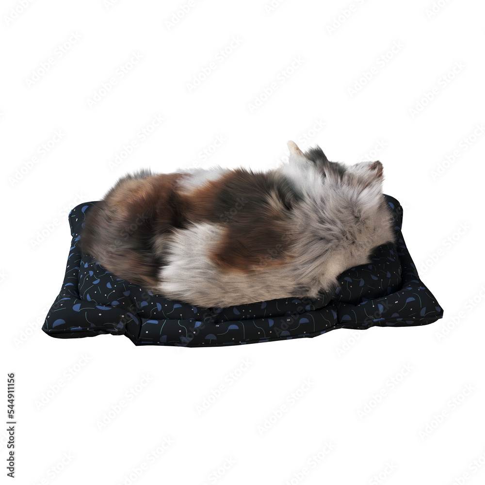 cat isolate on a transparent background, 3d illustration, cg render ...