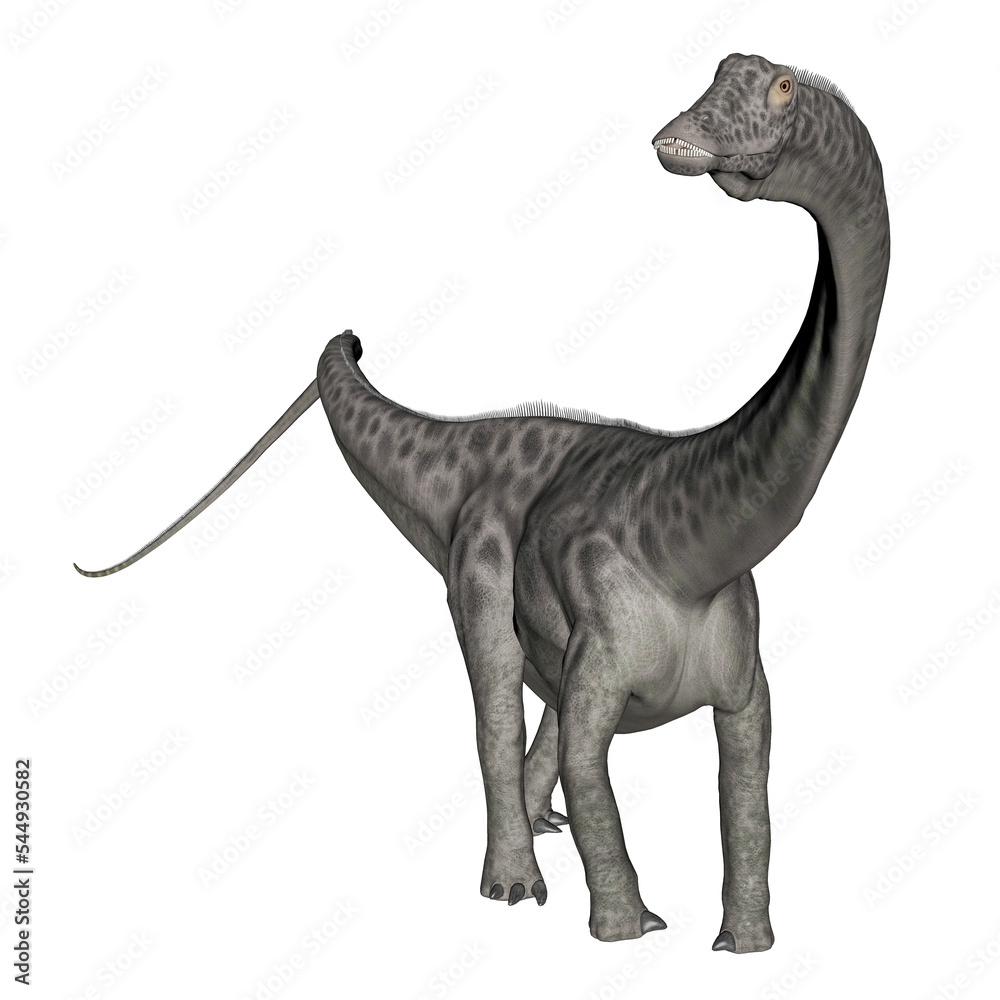 Diplodocus dinosaur standing - 3D render Stock Illustration | Adobe Stock