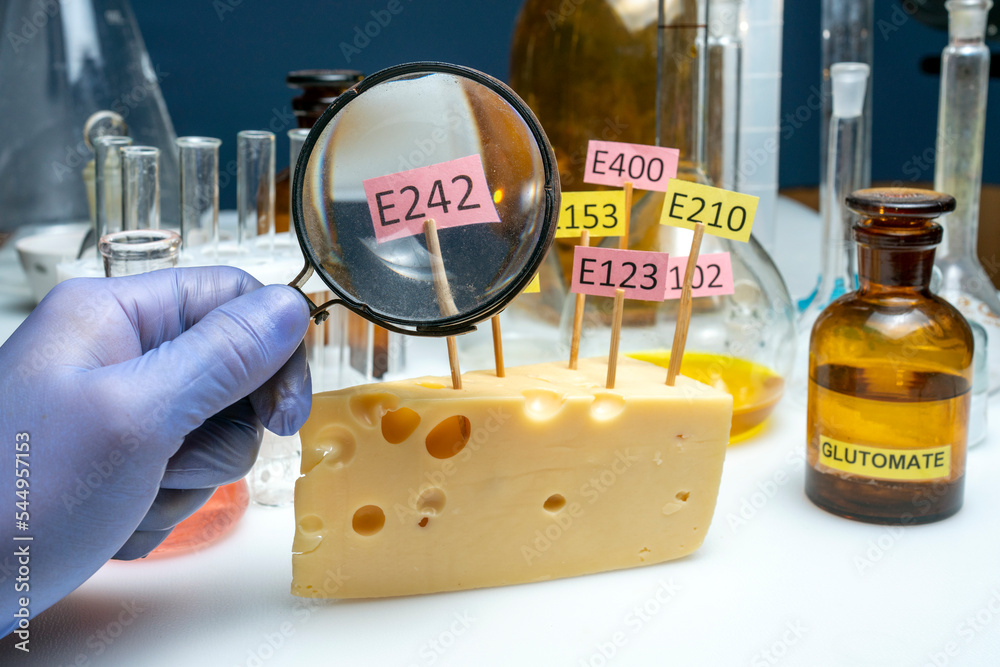 A laboratory assistant has a magnifying glass in his hand, and cheese ...