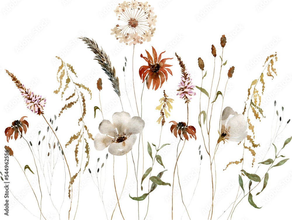 Wildflowers, herbs boho border painted in watercolor. Dried pampas ...