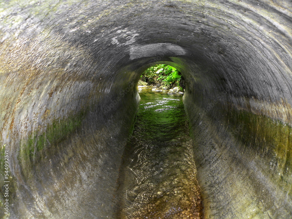 The stream flows in an old concrete pipe under the road and flows into ...