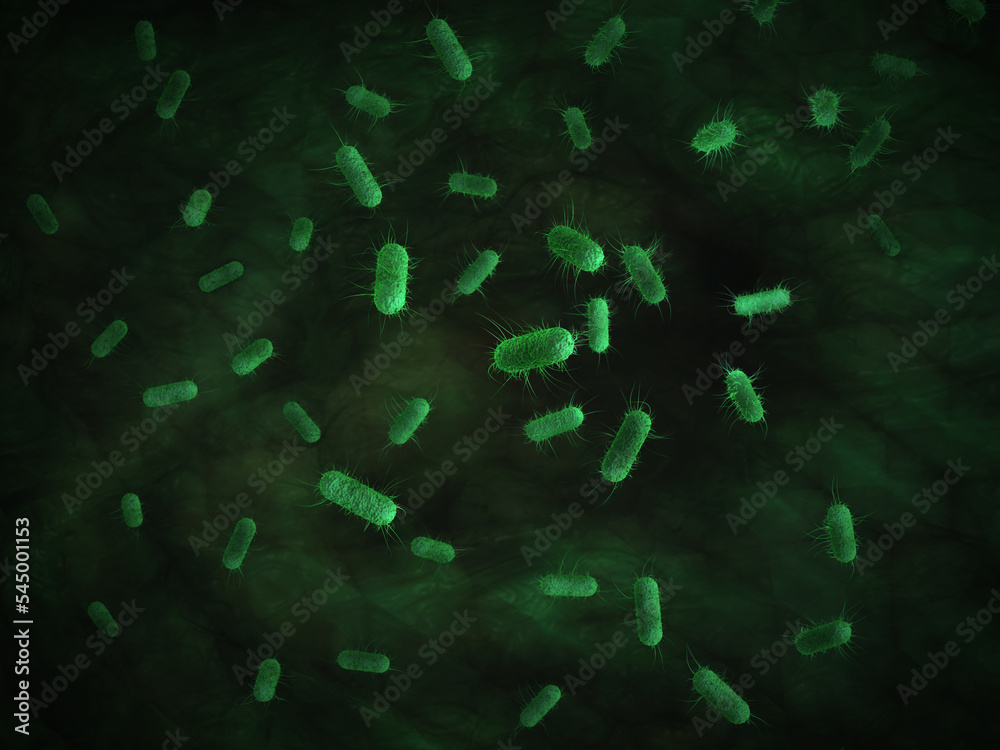 close up of 3d microscopic bacteria cells Escherichia Coli (E. Coli ...