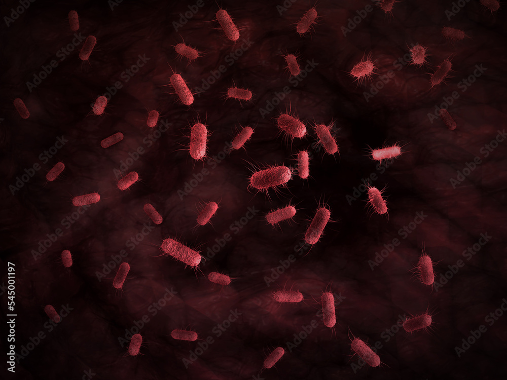 close up of 3d microscopic bacteria cells Escherichia Coli (E. Coli ...