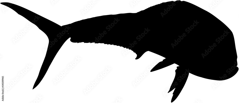 Mahi Mahi Silhouette Mahi Fish Svg | Dolphin Fish Clipart | Acrobatic