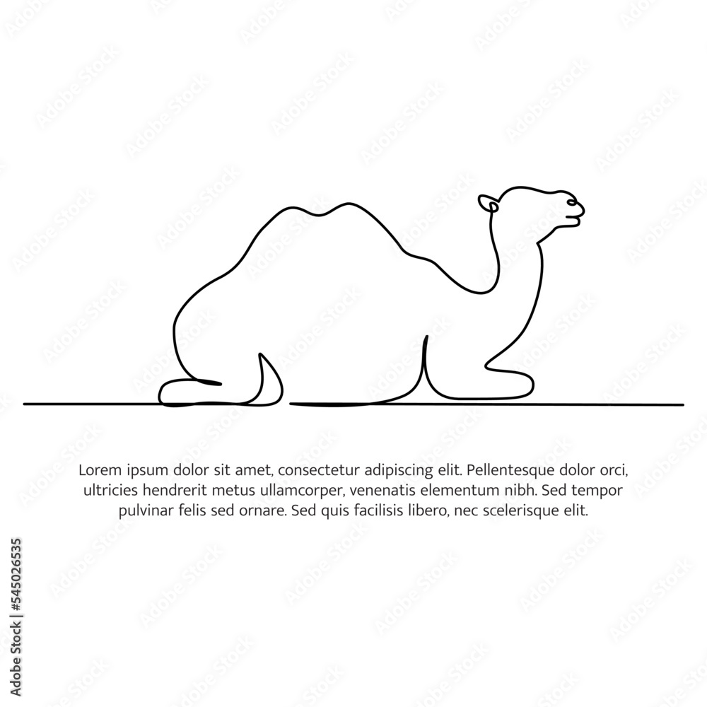 Camel line design. Simple animal silhouette decorative elements drawn ...
