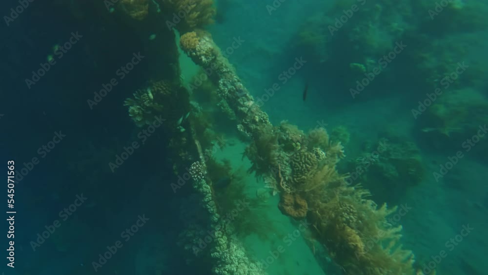 Underwater footage of a destroyed sunken ship covered with seaweed and ...