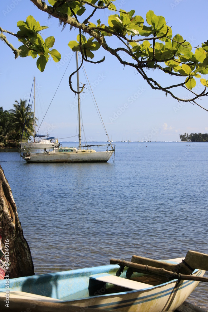 repos Stock Photo | Adobe Stock