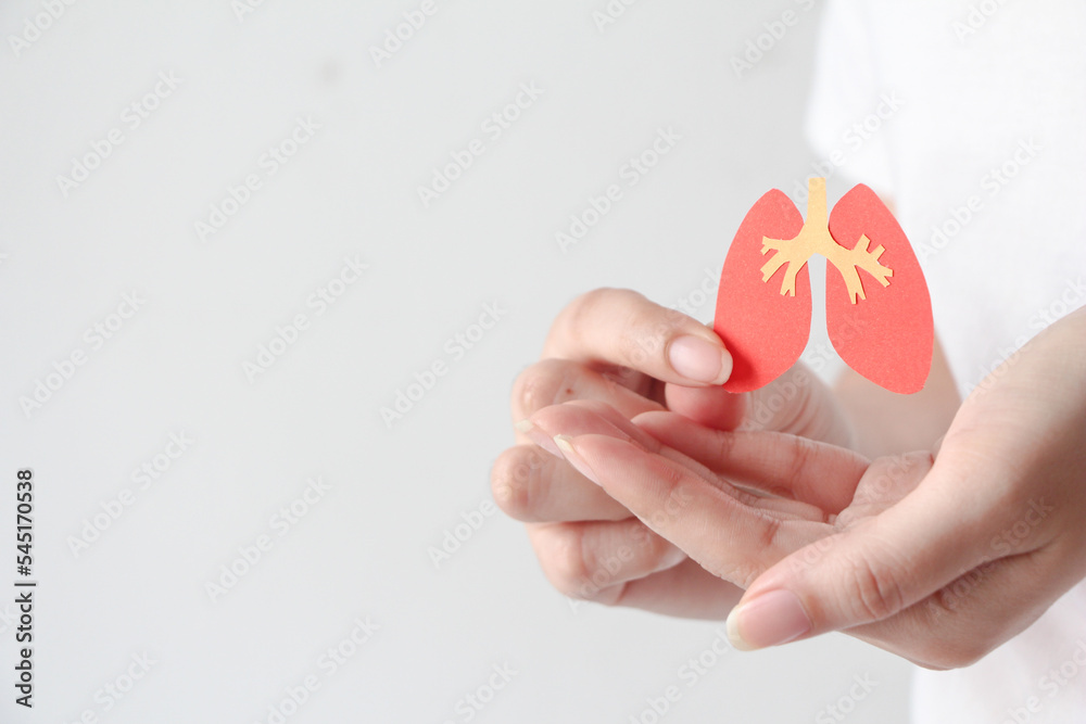 Hand Holding Lung Shape Made From Paper On Blue Background With Copy ...