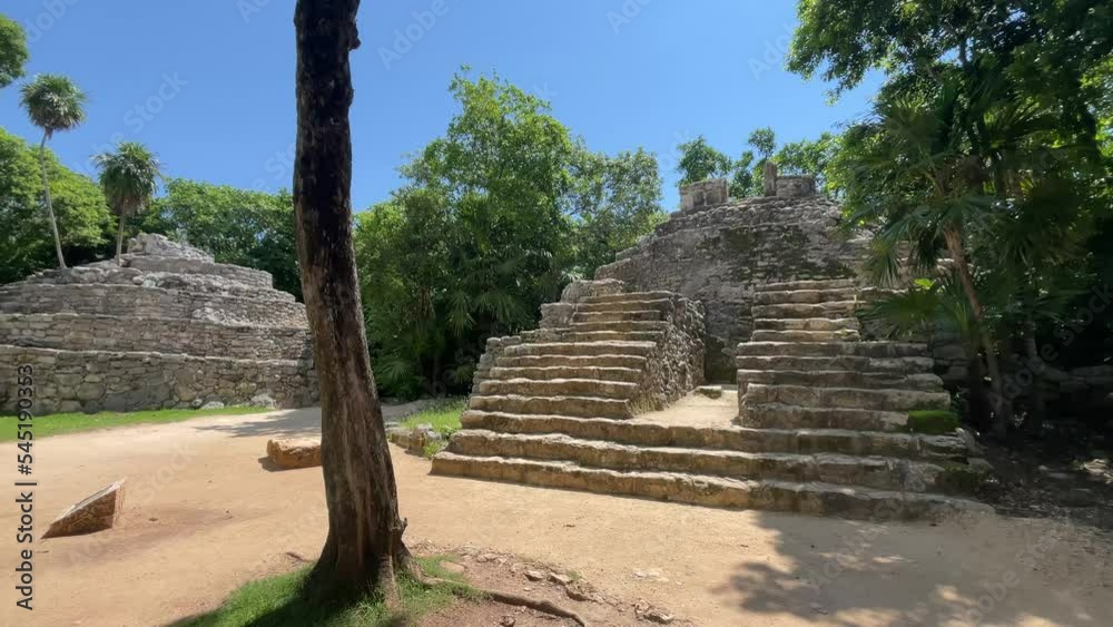 Vidéo Stock Pyramids of the Mayan ruins in the tropical jungle of ...