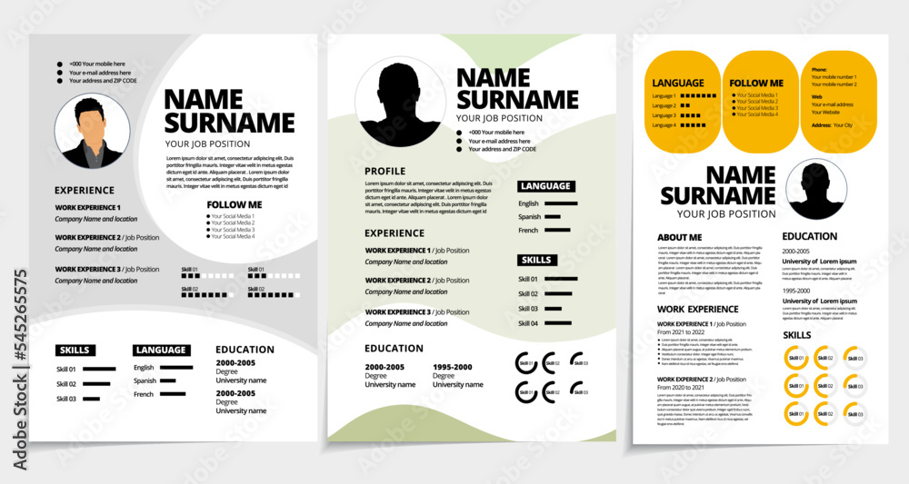 Professional resume template design. Business layout vector for job ...